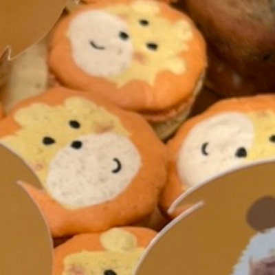 Zoo Animals French Macarons 12 or 24 Choose Your Flavors Elephant ...