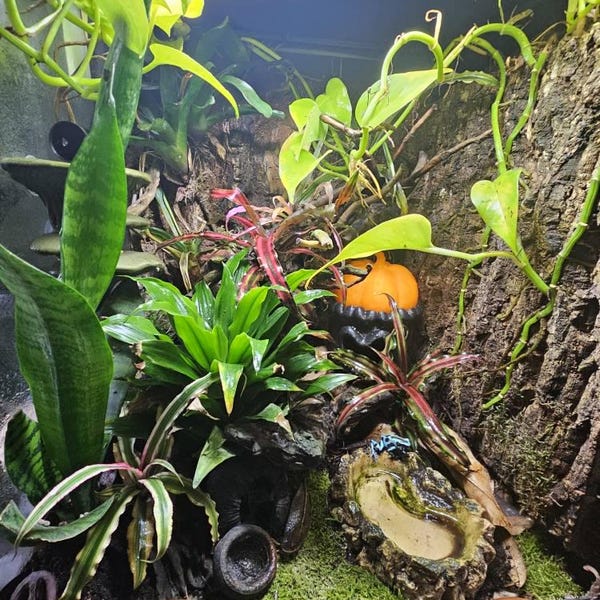 Cat Ear Gaming Headphone Stand: Modern Headset Holder - Etsy