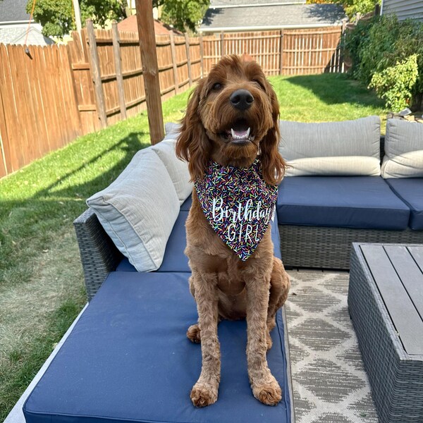 Dog Bandana Holder, Pet Bandana Organizer, Dog Clothing Organizer, Dog ...