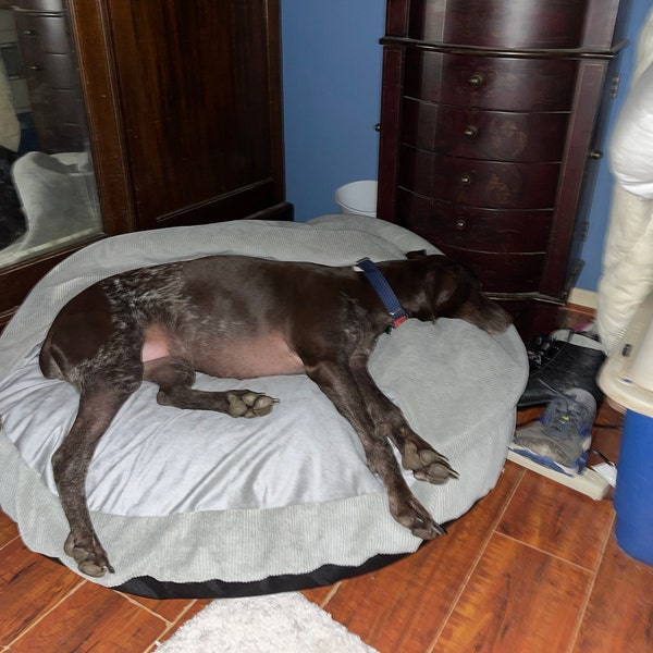 Dog Bed Large Dogs, Winter Dog Cave Bed, Warm Covered Dog Bed, Whippet ...