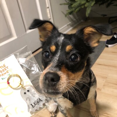 Gothic Pet ID Tag, Custom Dog Tag, Cat Collar Tag, Glitter Dog Tag ...