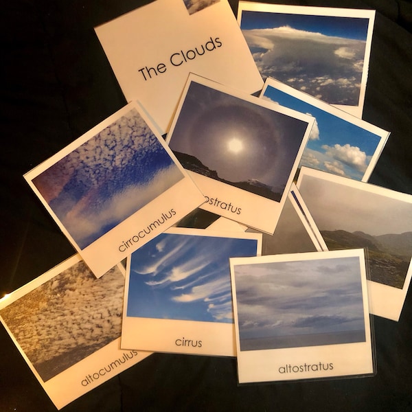 Seed and Plant Matching Cards - Montessori Botany Activity (digital ...