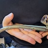 Wood Grain Gandalf Pipe Glass Wizard Pipe Lord of the Rings Pipe Hobbit ...
