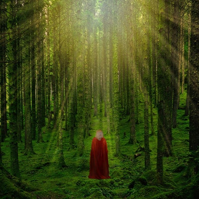 Sunlight Overlays, Photoshop Overlays, Sunbeams, Sunlight, Bokeh, Dust ...