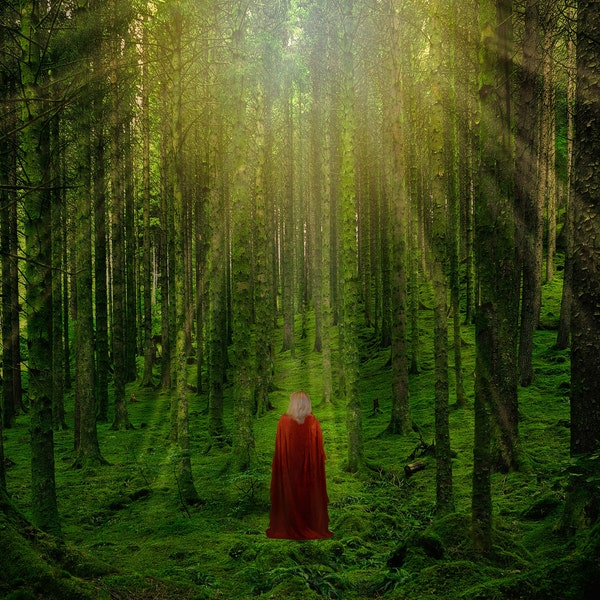 Sunlight Overlays, Photoshop Overlays, Sunbeams, Sunlight, Bokeh, Dust ...