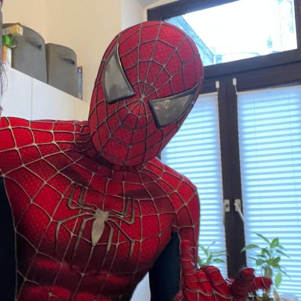 Customized Spider Man 1 Helmet, Andrew Garfield Spider Man Mask ...