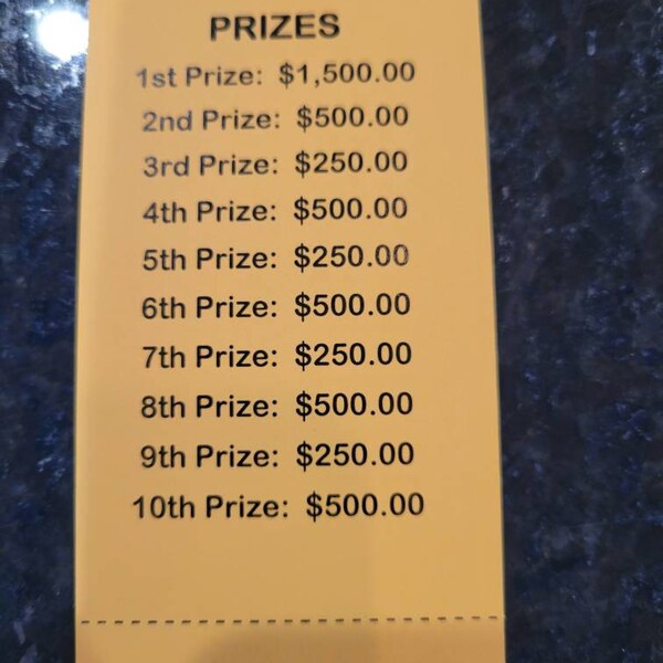 1,000 Custom Printed Raffle Tickets for Your Fundraiser. Card Stock of ...