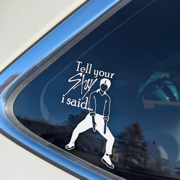Stray Kids STAY Pose Decal - Etsy