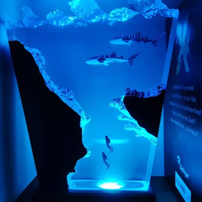 Koi Fish Epoxy Resin Table on Request Hand-painted Koi Fish Art, Unique ...