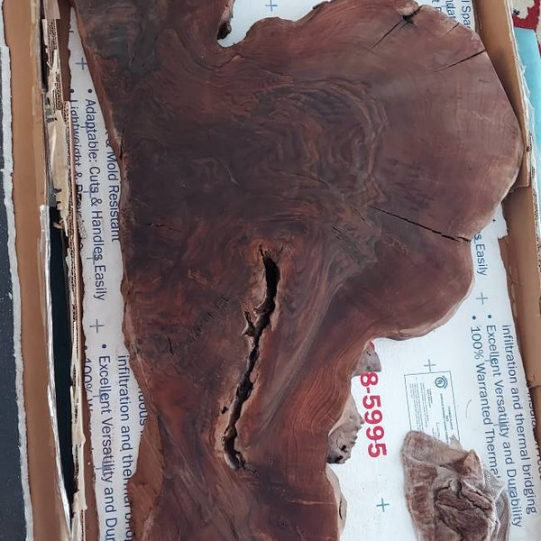 Claro Black Walnut Live Edge Root Slab. Charcuterie Board, Wall Art ...