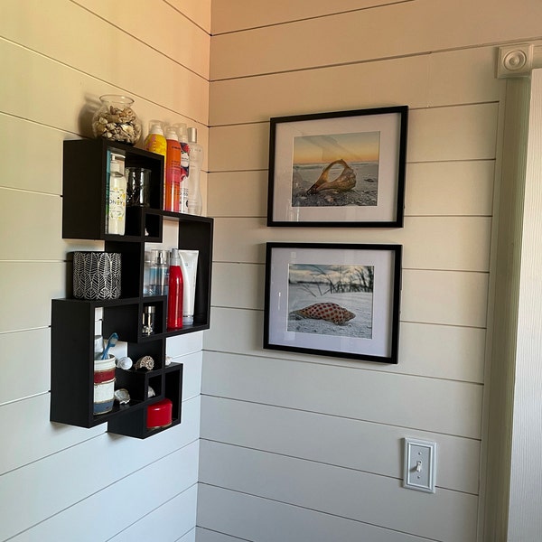 Seashell Photography, Shell Photo, Beach Decor, Fine Art Print, Coastal ...