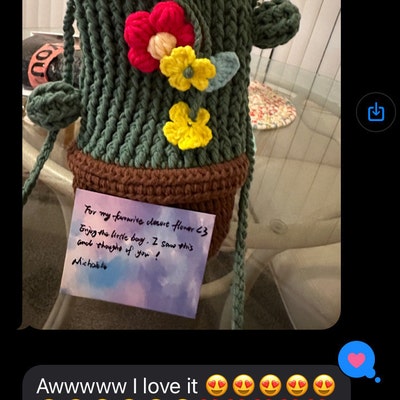 Crochet Cactus Crossbody Bag,handmade Cactus Bag,knitted Cactus Bag ...