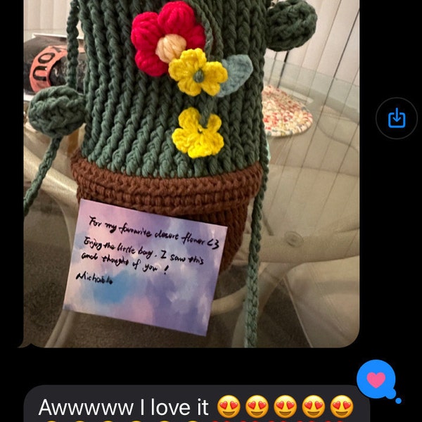 Crochet Cactus Crossbody Bag,handmade Cactus Bag,knitted Cactus Bag ...
