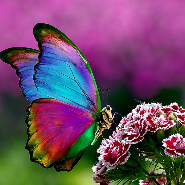 Candle Color Meanings: Unlock the Magic of Color Intention for Your ...