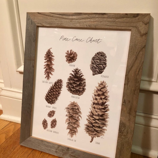 Pine Cone Chart Print - Watercolor Pine Cones, Pine Cones, Nature Print ...