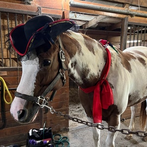 Destrier Horse Costume for Any Size Equine Horse Blanket and - Etsy