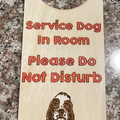 You Rock Rocks / Rock Star / Thank You Gift /staff Appreciation Rocks ...