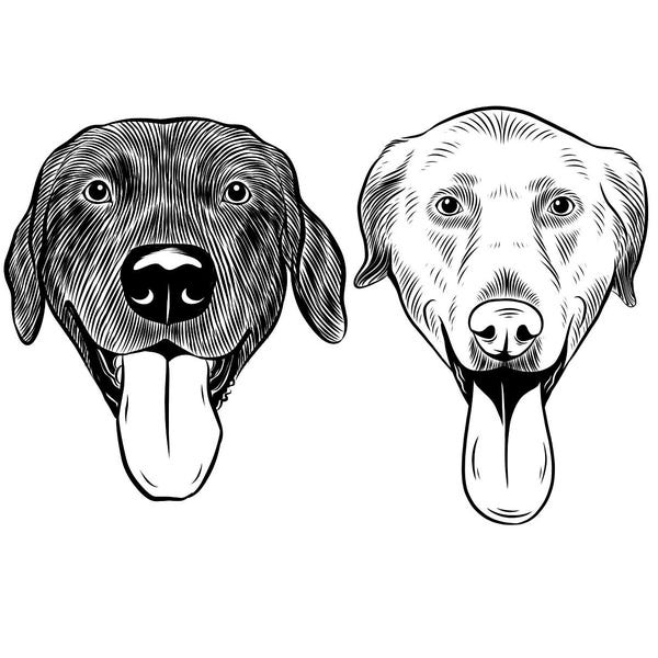 Custom Pet Matchboxes, Wedding Favor Matches, Wedding Decor ...