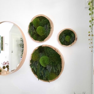 Mini Moss Wall Art in Miniature Embroidery Hoop Long Lasting | Etsy