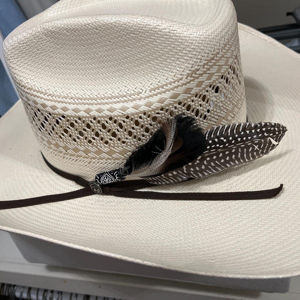 Buckaroo Traditional Windstring Cowboy Hat Feather, Hat Feather ...