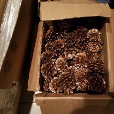 Pine Cones 75, Bulk, Natural/untreated, Sanitized, Canada Pinecones ...