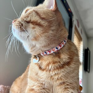 Cute Cat Collar Boy Collar Black Cat Collar Kitten - Etsy UK