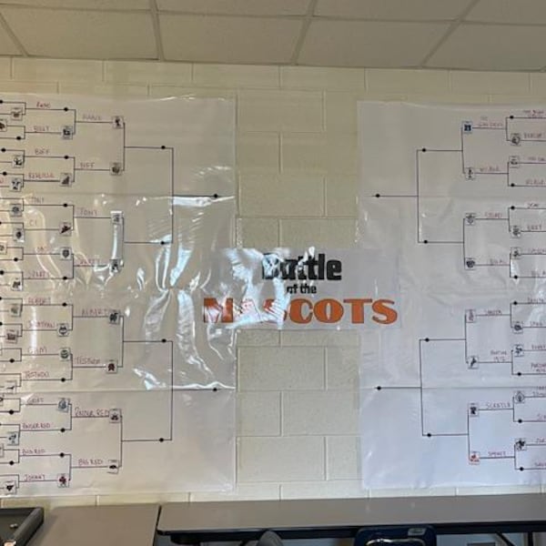 Mascot Bracket for Men's College Basketball Tournament 2024 - Etsy