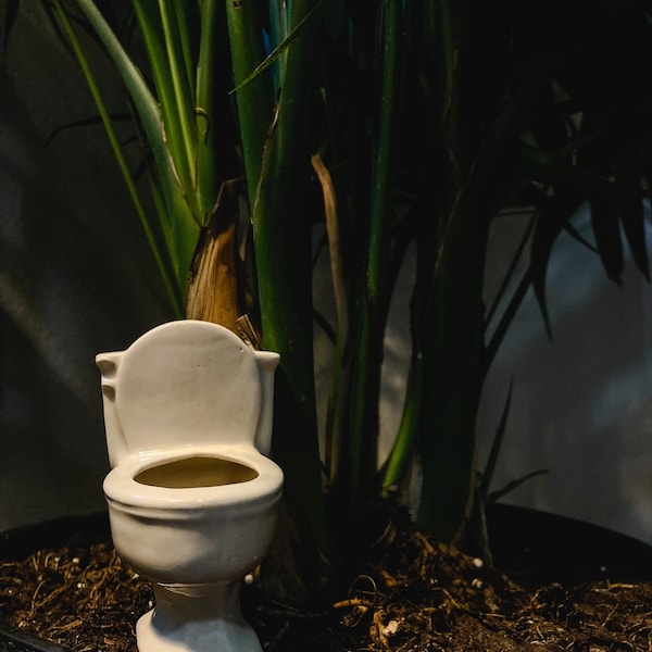 Handmade Toilet Watering Spike | Funny Ceramic Plant Stake | Self ...