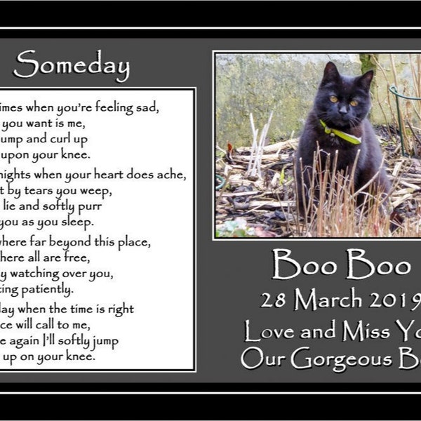 Personalised Pet Cat Memorial Bereavement Sympathy Gift Mounted Print ...
