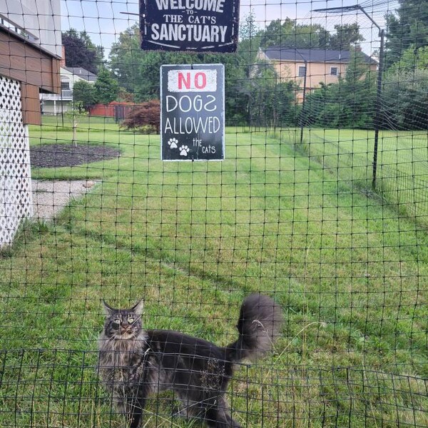Please Pay Here Thank You Sign Metal Sign, Farmhouse Contemporary ...