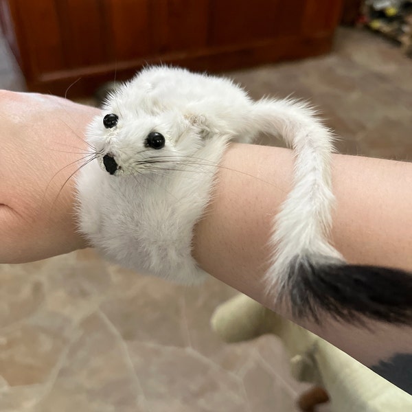 Weasel Slap Bracelet, Sherman the Ermine, White Ermine Slap Bracelet ...