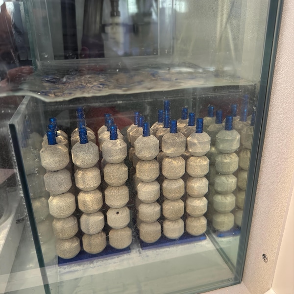 12" X 8" Honeycomb Frag Rack | Free-standing 3D Printed Coral Rack ...