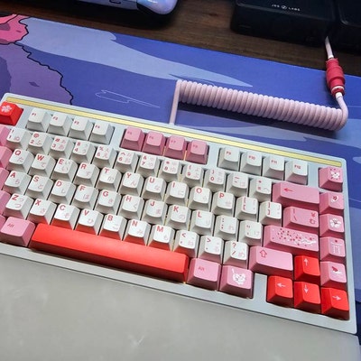 Custom Coiled Keyboard USB Cable With Aviator Connector GMK Dracula - Etsy