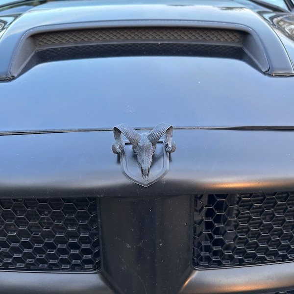 Custom Made Hood Ornament **design>mock Up>create** Your Idea Into ...