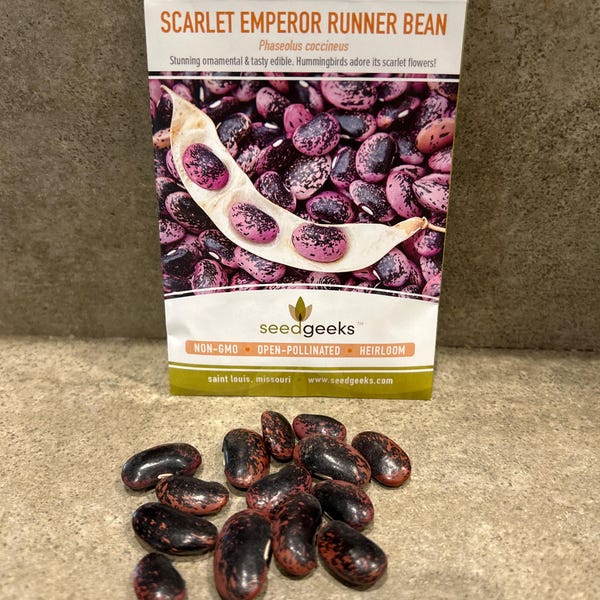 Scarlet Emperor Runner Bean Seeds | 15+ Seeds, Heirloom, Edible Flowers ...