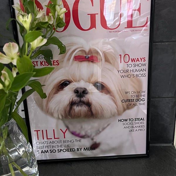 Personalised Movie Poster, Digital Illustration, Pet Portrait, Portrait ...