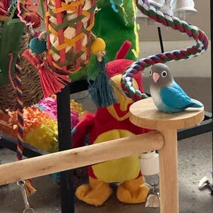 Japan Giant Malaysian Leaf Insect PVC Model Figure Figurine 13.3cm - Etsy