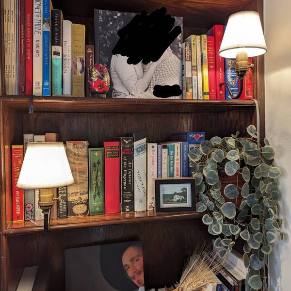 Bookshelf Lamp. Bookcase Light. Bookshelf Decor. Home Library Decor ...