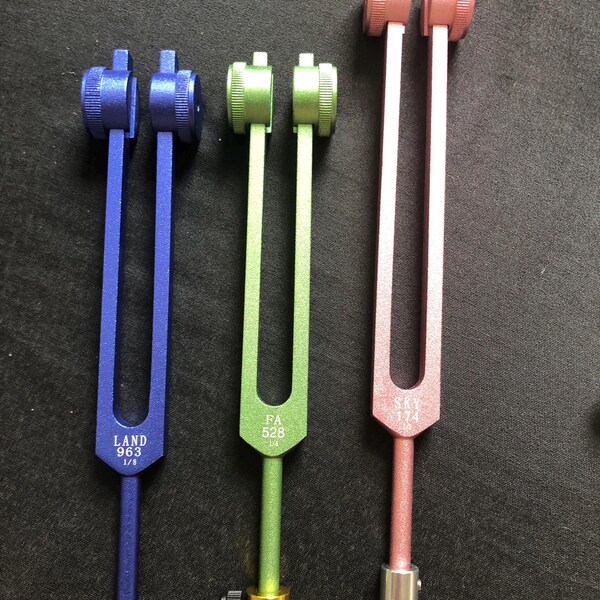 Seed Shell Shaker Cha Cha Nut Sound Healing Gift Box Back to Nature ...