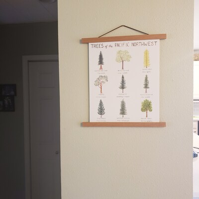 Pacific Northwest Trees Art Print / Washington State Art / Trees Art ...