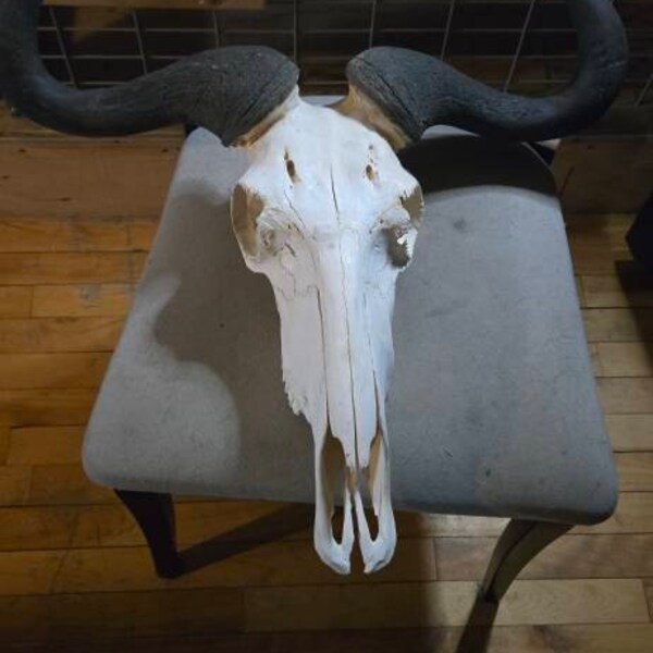 Tibetan Lamb Skin Speckled Black and White Mongolian Sheep Skin Black ...