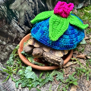 Alien in Spaceship Costume for Turtle/tortoises - Etsy