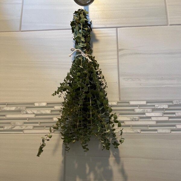 Fresh Eucalyptus Shower Bundle, Eucalyptus Shower Bundle, Indoor ...