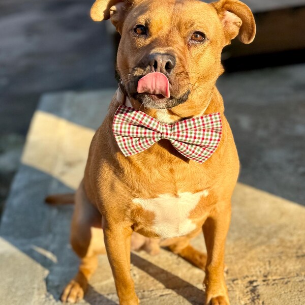 Christmas Plaid Dog Bow Tie, Red and Green Dog Bows, Cat Bow Tie ...