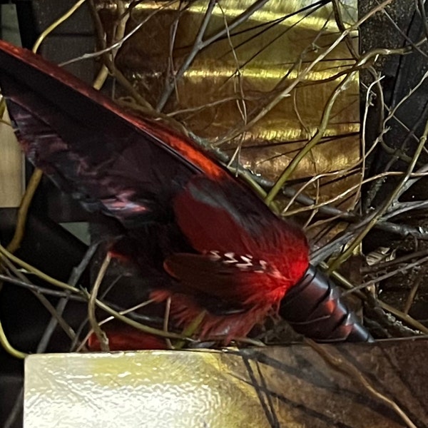 Rune Set. Elder Futhark. Handpainted Gemstone Rune Set. Gemstone ...