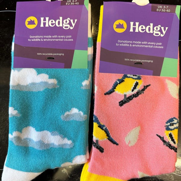 BAMBOO SOCKS | FROG | Toad Socks | Amphibian Socks | Bamboo Socks ...