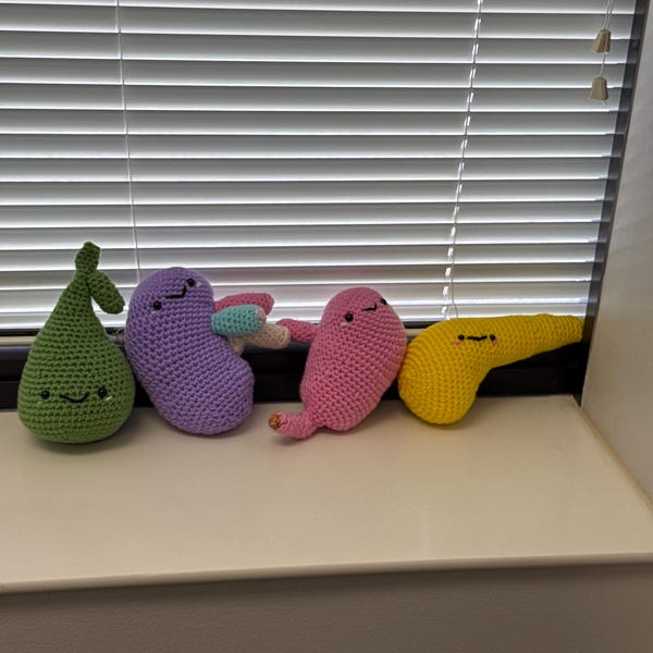 11 Crochet Organs Patterns! EBOOK PDF Amigurumi Heart Liver Kidney ...