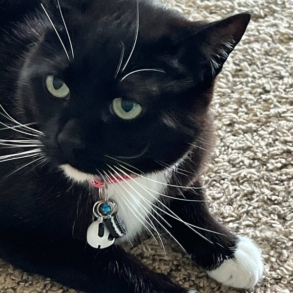 Collar Charms - Food Charms - Snacks - Extra Charms for Cat Collars ...