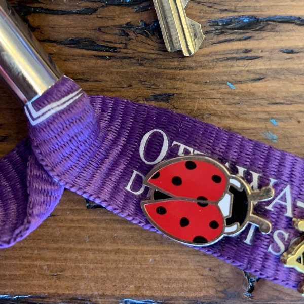 Tiny Ladybug Enamel Pin // Hard Enamel Pin, Insect Pin, Animal Pin ...