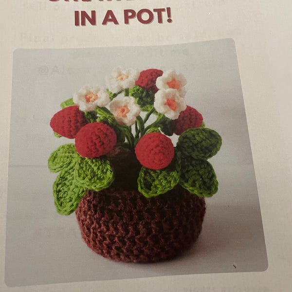 Crochet Strawberry Plant Pattern: Amigurumi Flowers PDF - Etsy